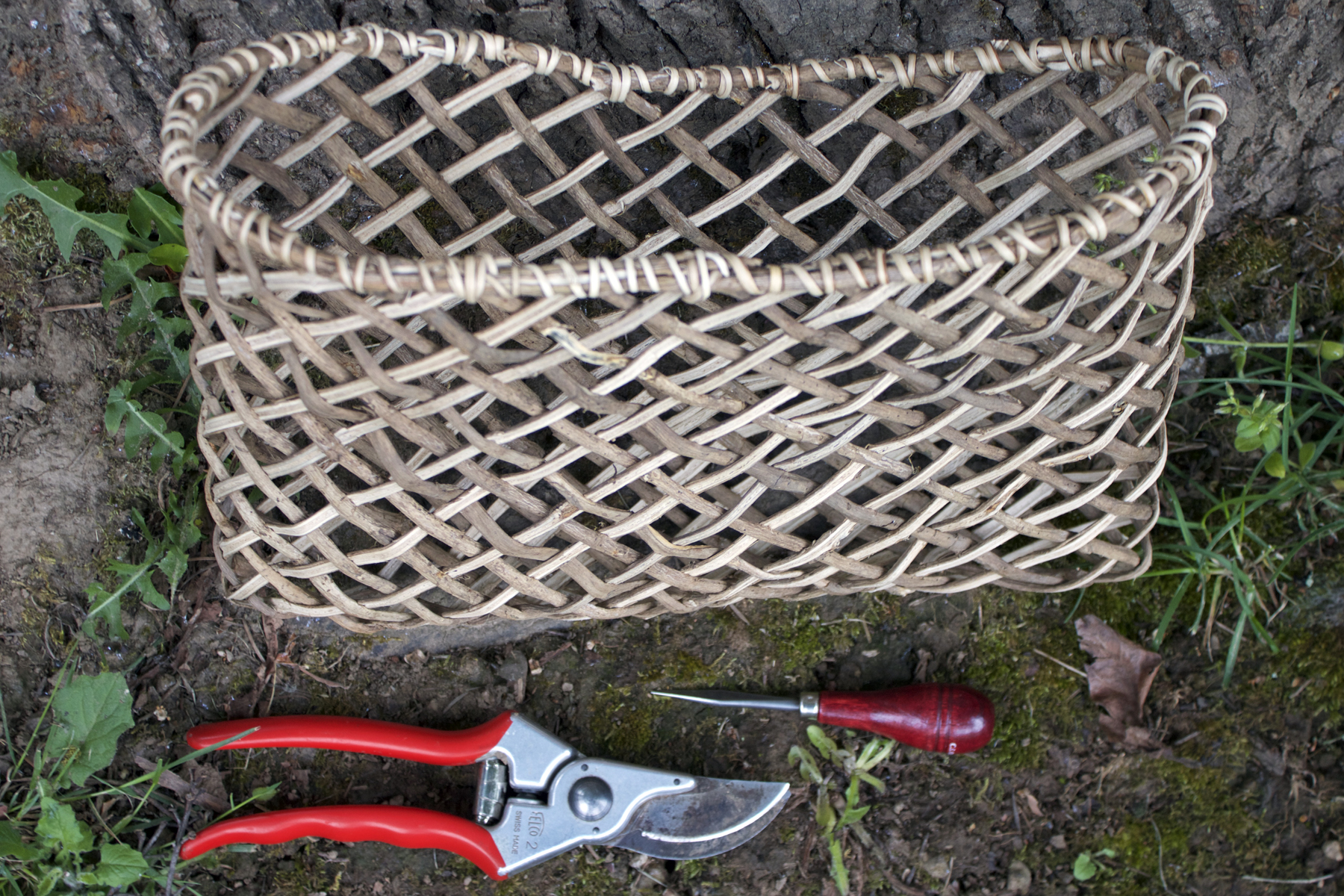 Basketry 101 | Rewild Portland