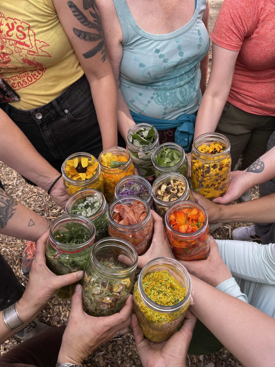 The Color Wheel | Rewild Portland